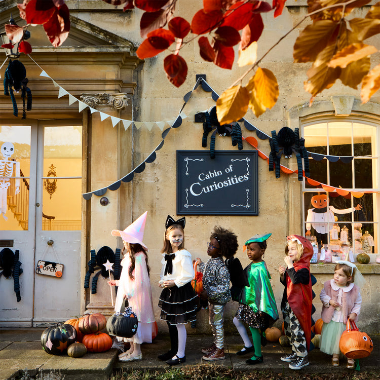 Shop Our Gourd-geous Halloween Collection – Meri Meri