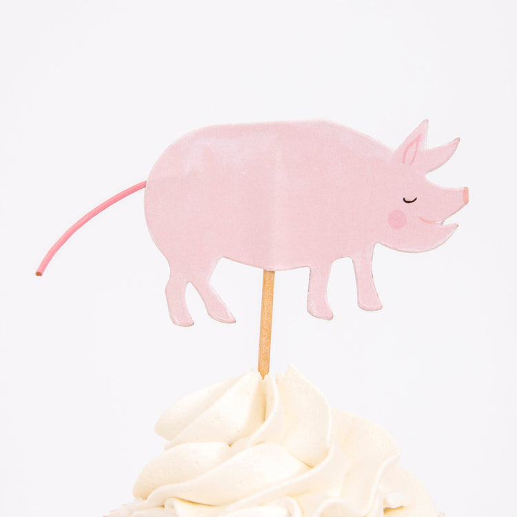 Farm Party Cupcakes – Meri Meri