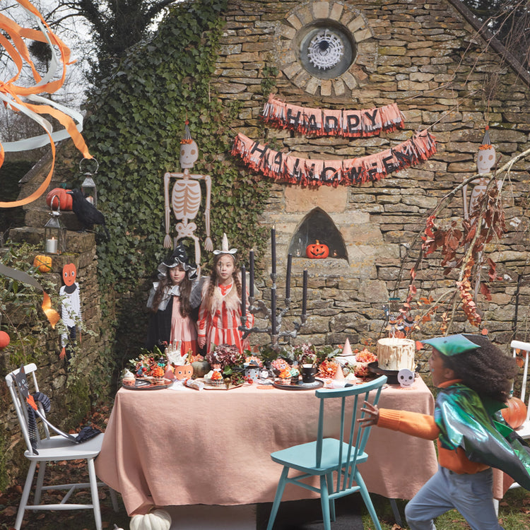 Halloween Party Decoration – Meri Meri